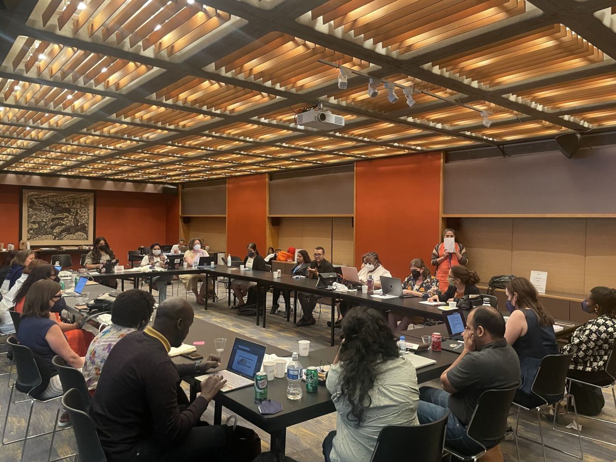 COSP 17 advocacy – Rising Flame